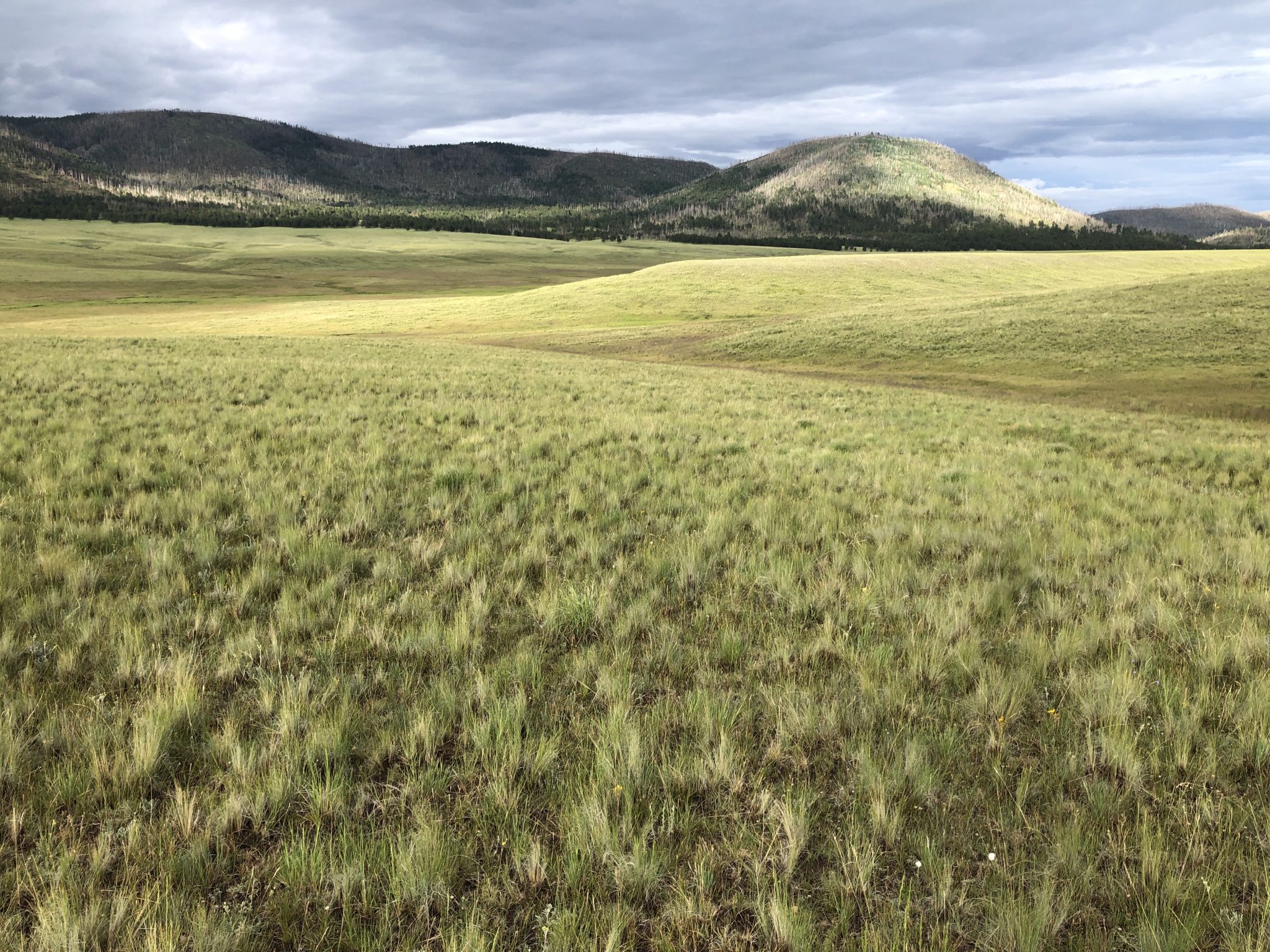 About Caldera Action – Caldera Action